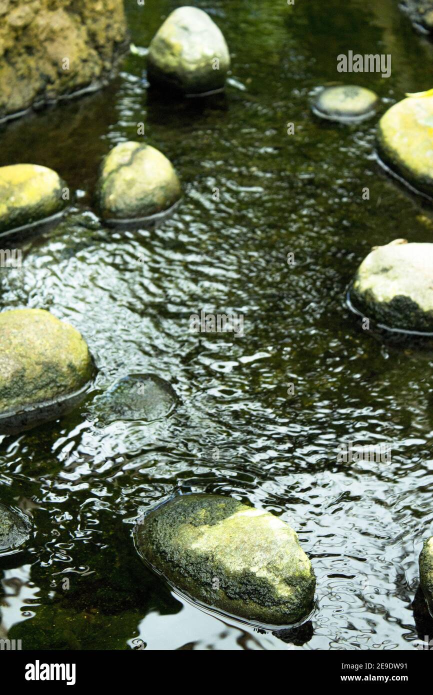 Carp pond without water hi-res stock photography and images - Alamy