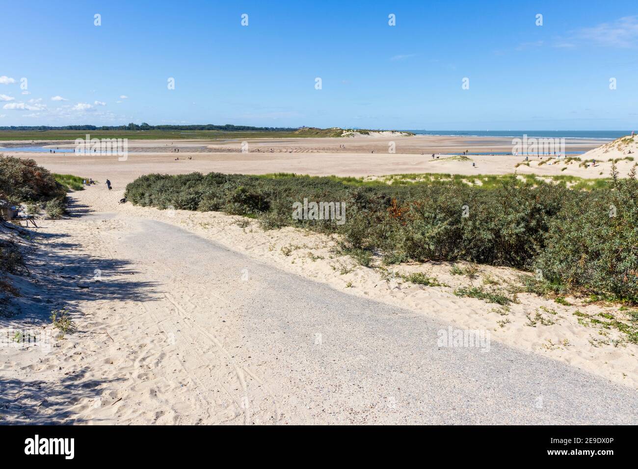Het Zwin, nature park and bird sanctuary between Knokke-Heist, Belgium ...