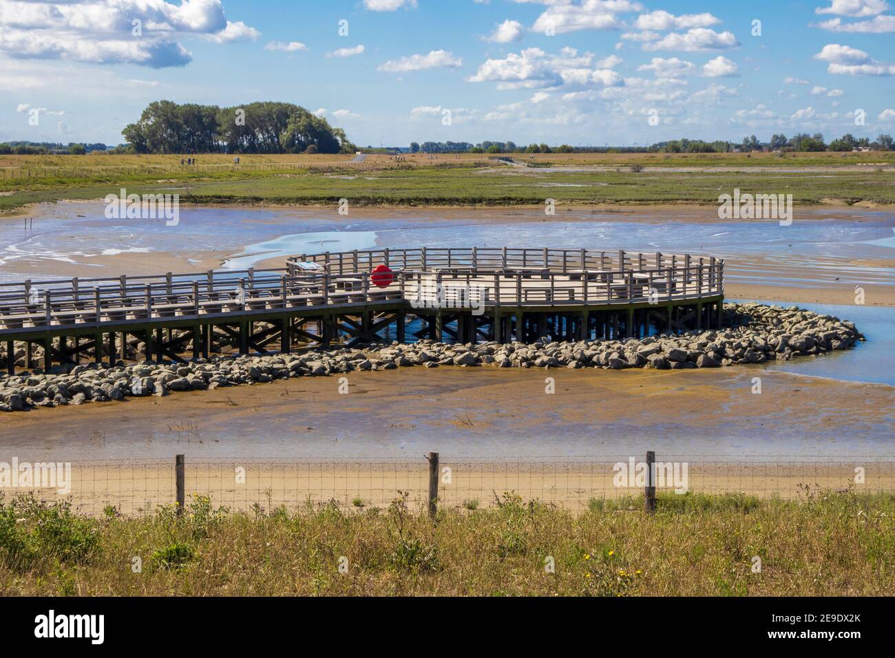 Het Zwin, nature park and bird sanctuary at the border Knokke-Heist and ...