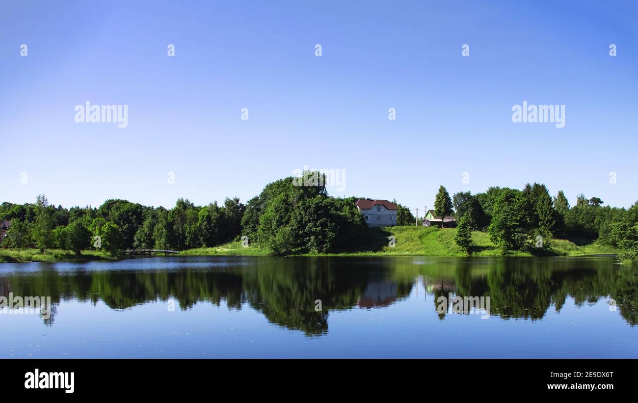 Waterfront with green trees and vegetation in forest, summer landscape ...