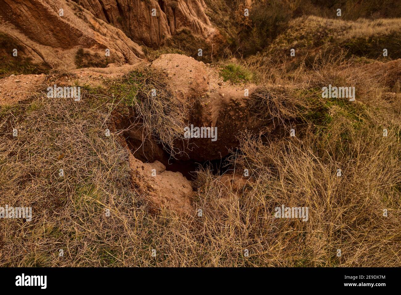 The beautiful Red Ravine (Rapa Rosie) from the Carpathian mountains ...