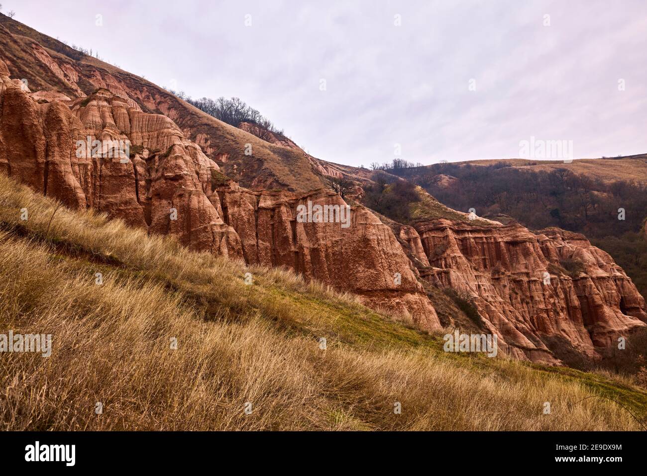 The beautiful Red Ravine (Rapa Rosie) from the Carpathian mountains ...
