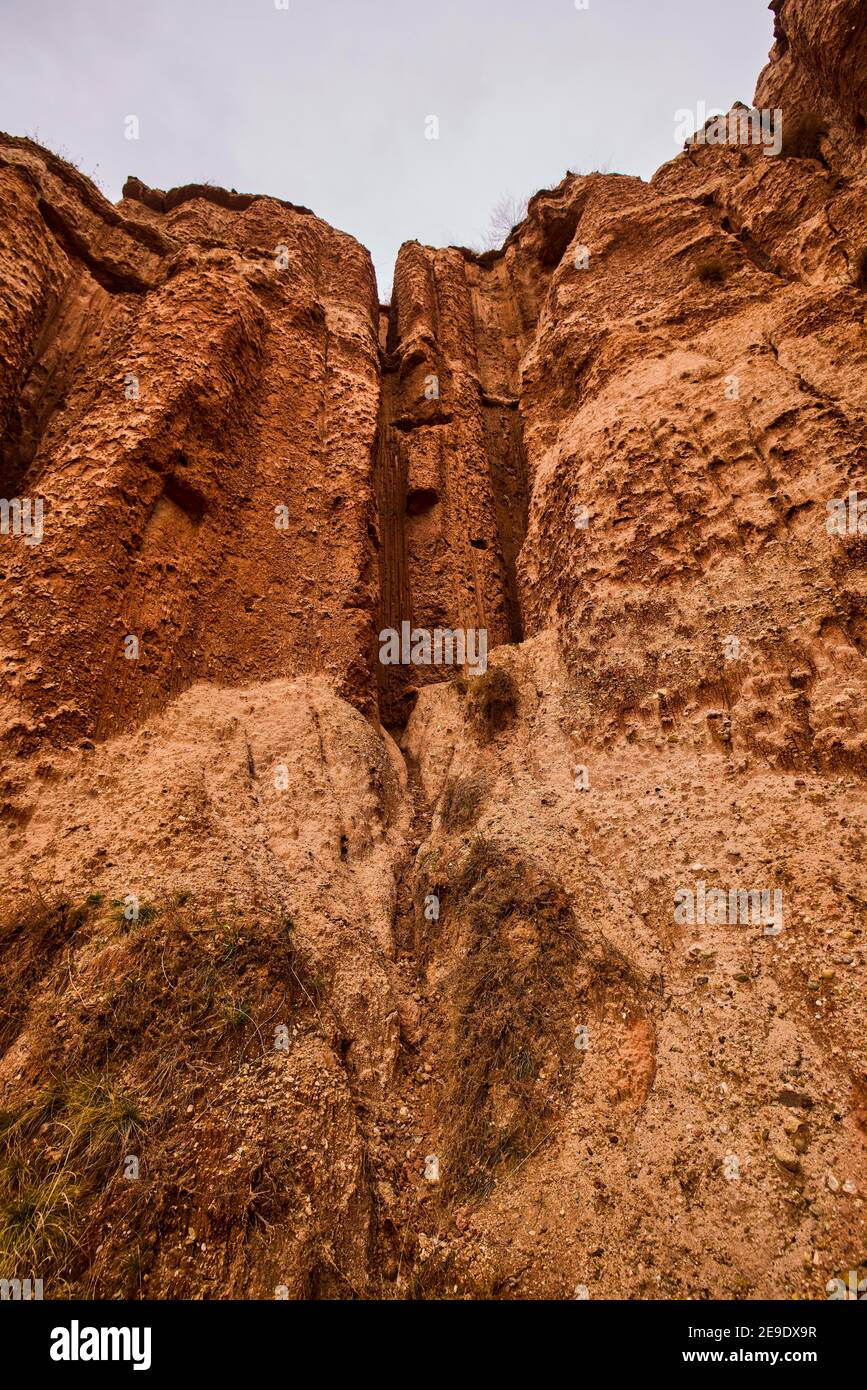 Rapa rosie alba hi-res stock photography and images - Alamy