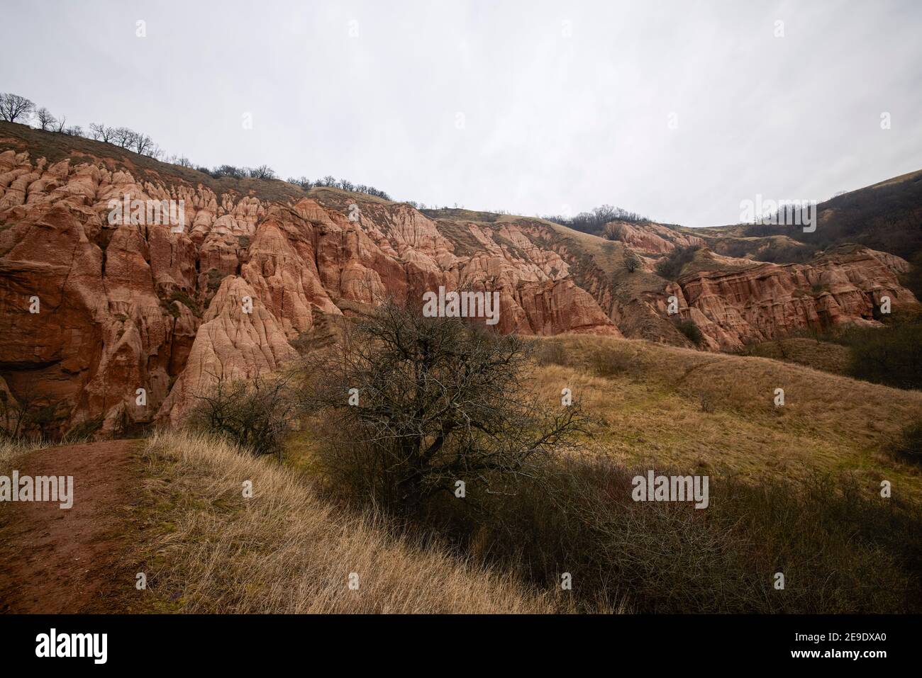 The beautiful Red Ravine (Rapa Rosie) from the Carpathian mountains ...