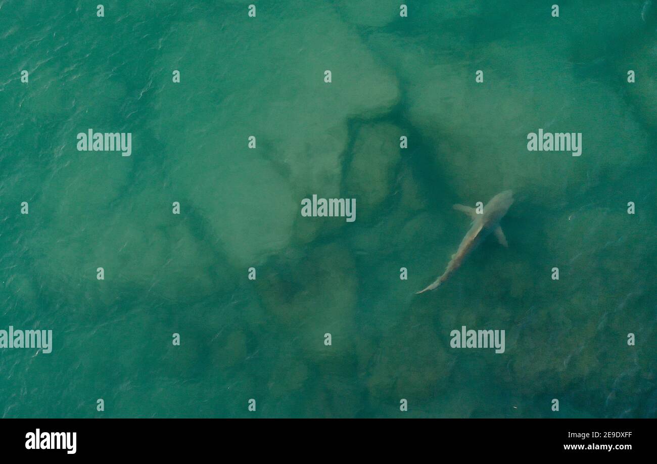 Hadera aerial hi-res stock photography and images - Alamy