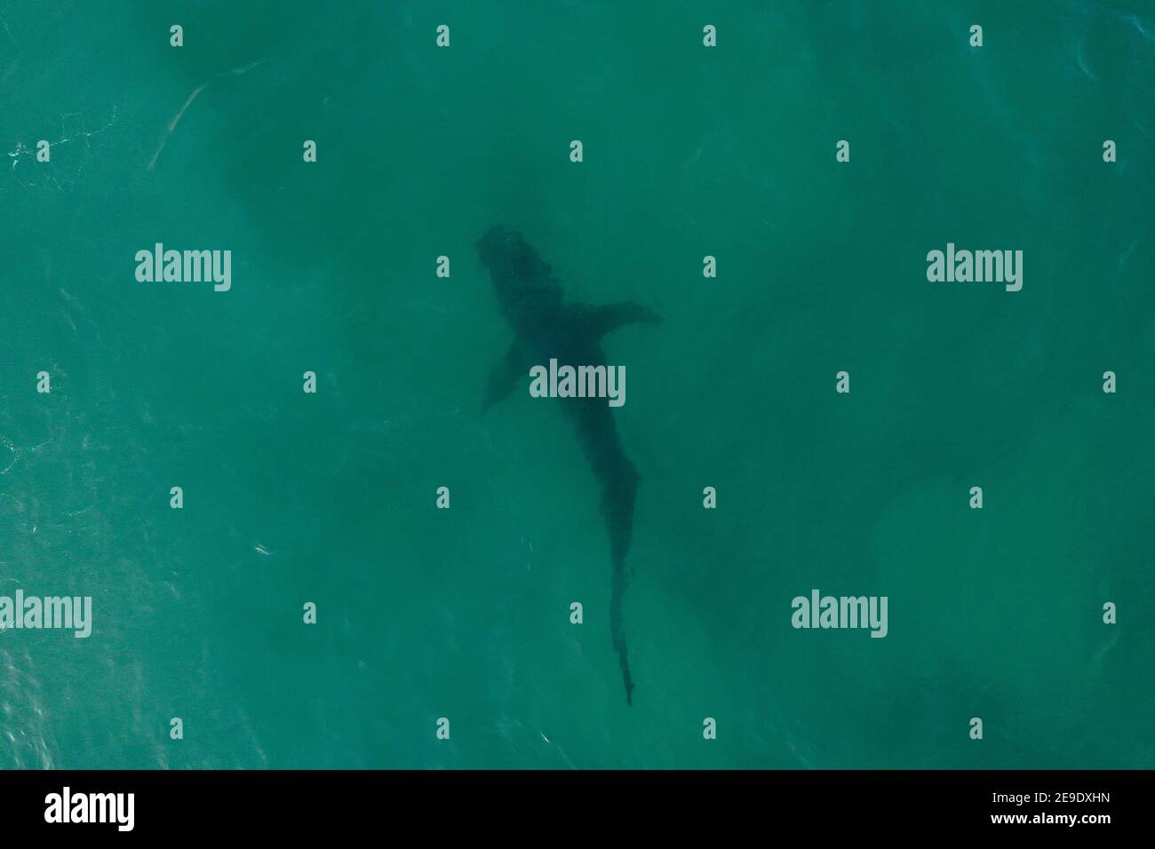 Hadera aerial hi-res stock photography and images - Alamy