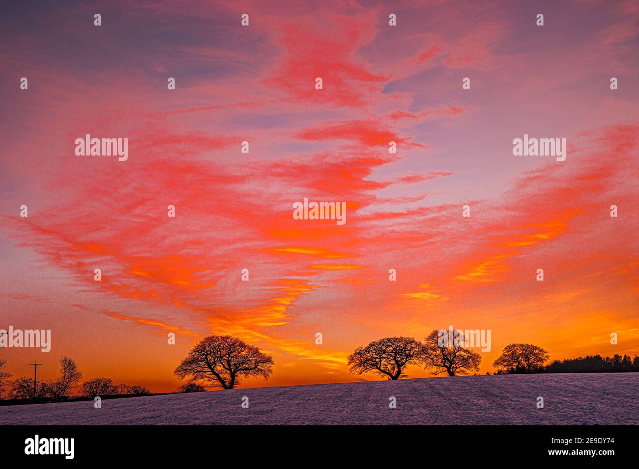 Sunset with trees and snow Stock Photo - Alamy