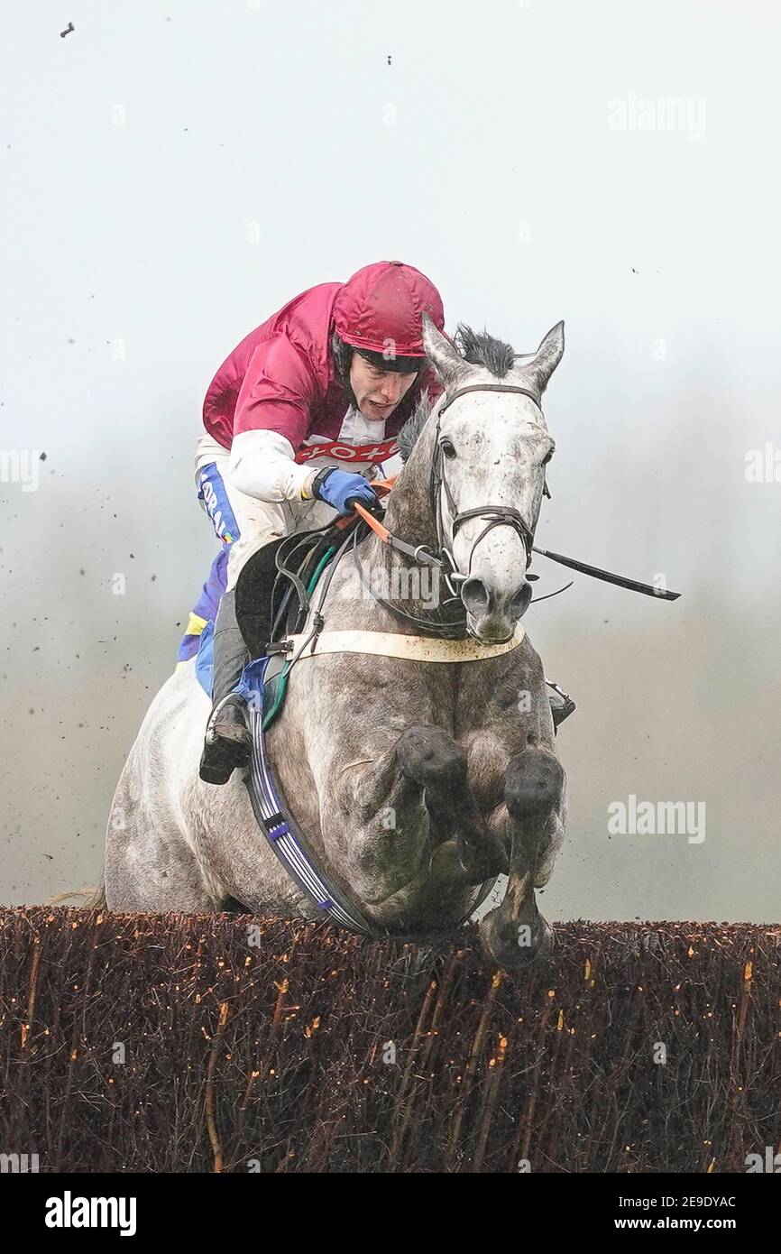 Numitor horse hi-res stock photography and images - Alamy