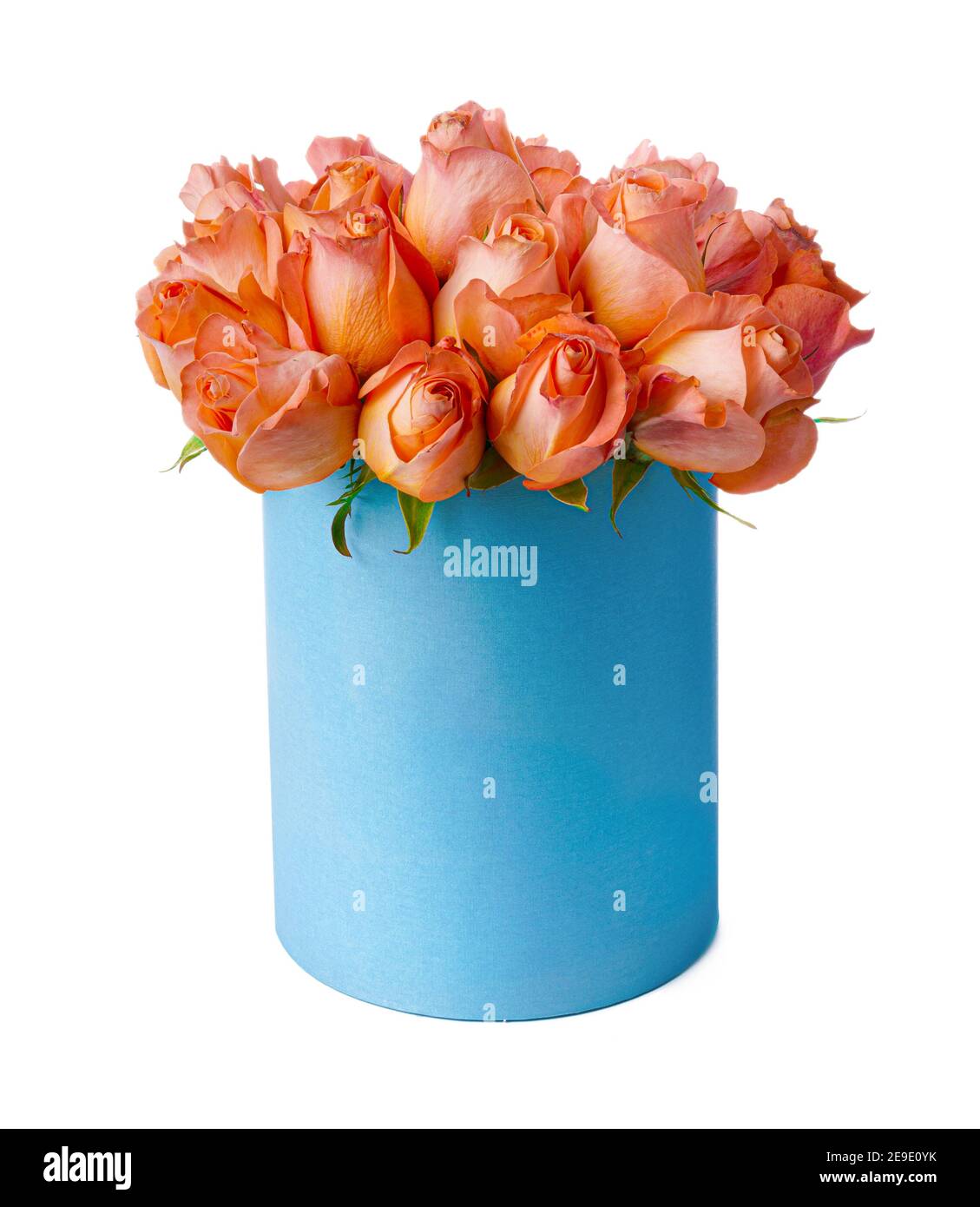Peach color roses in a cardboard box isolated on white Stock Photo - Alamy
