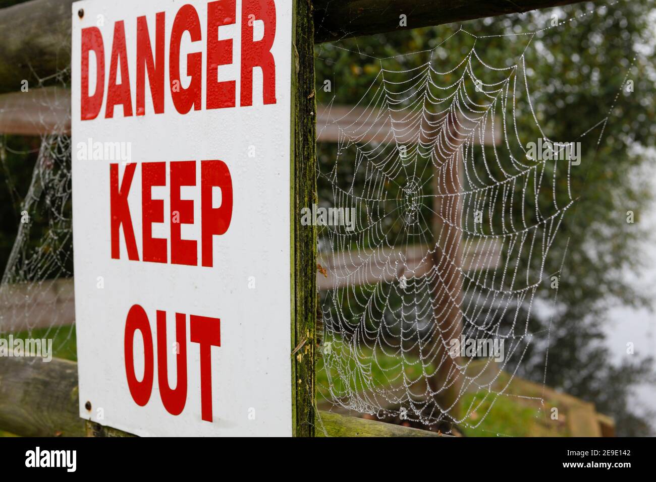 A dew covered spiders web next to a Danger Keep Out sign Stock Photo ...