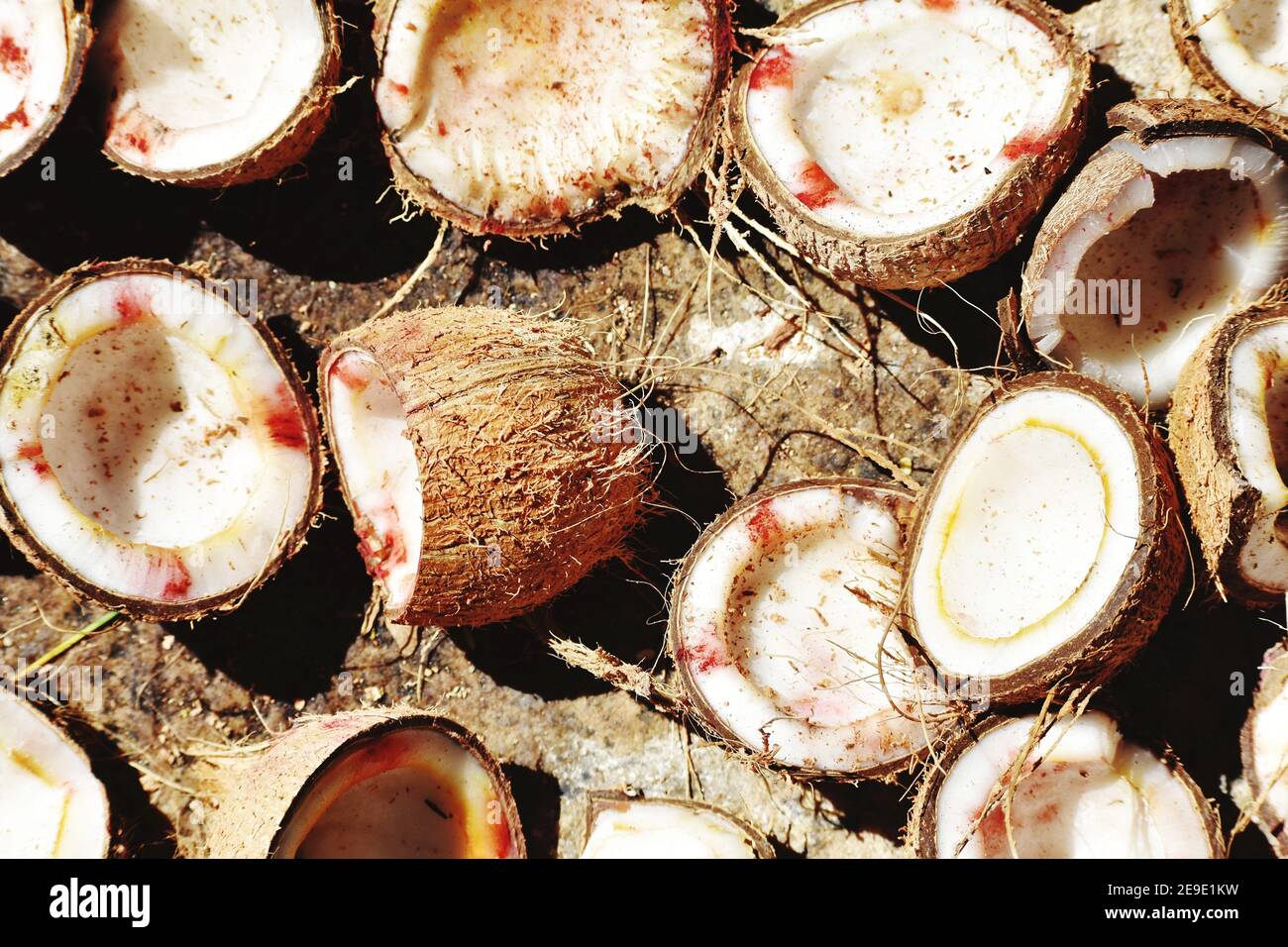 Moldy coconut hi-res stock photography and images - Alamy