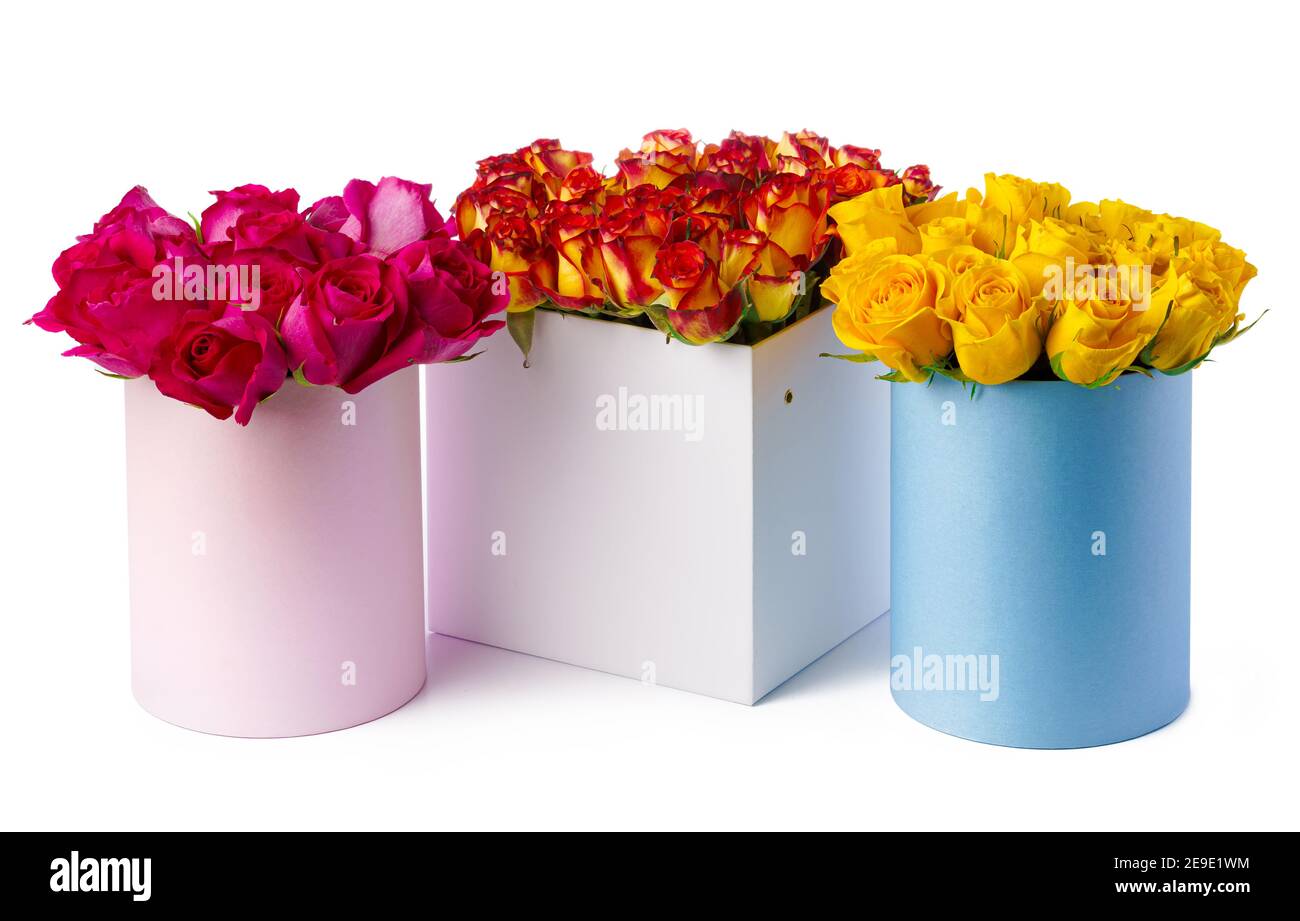 Beautiful boxes with fresh roses isolated on white background Stock ...