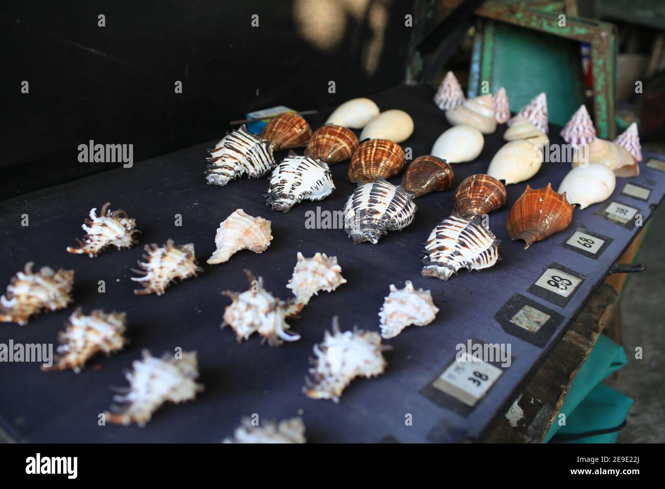 cheung chau shell market in hong kong Stock Photo - Alamy