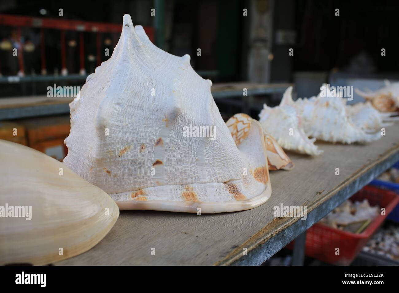cheung chau shell market in hong kong Stock Photo - Alamy