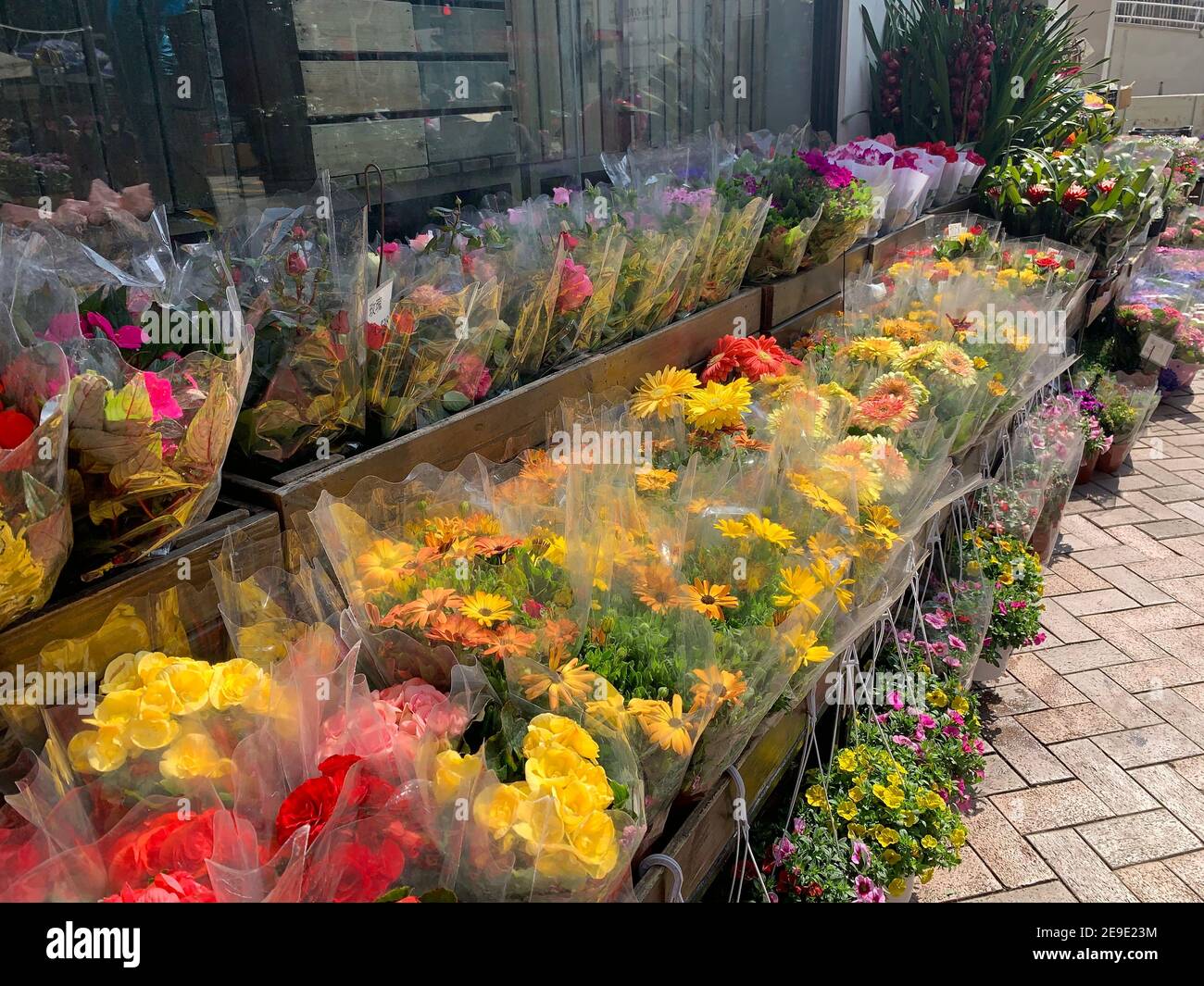 Hong Kong spring festival Stock Photo - Alamy