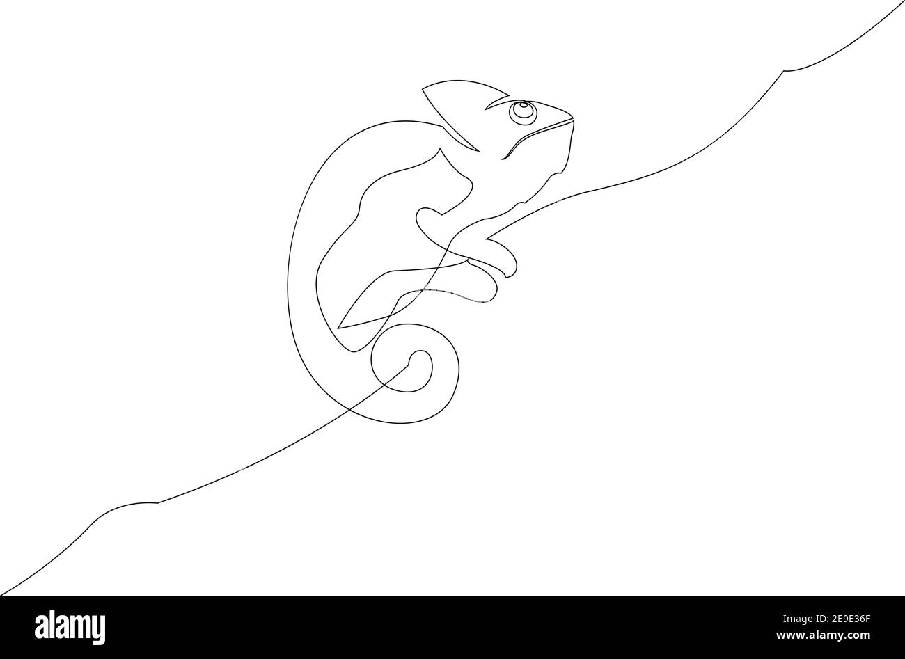 One line drawing of chameleon. Continuous line illustration on white ...