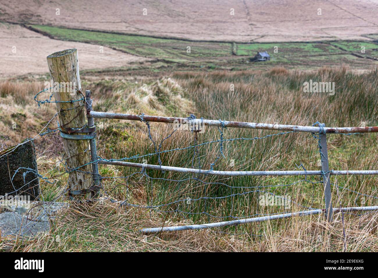 Farm gate at end of country lane in County Kerry Ireland Stock Photo ...