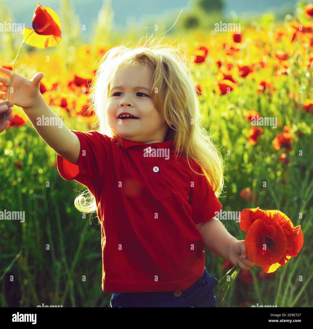 Child, smiling little boy in flower field of poppy with green stem on ...