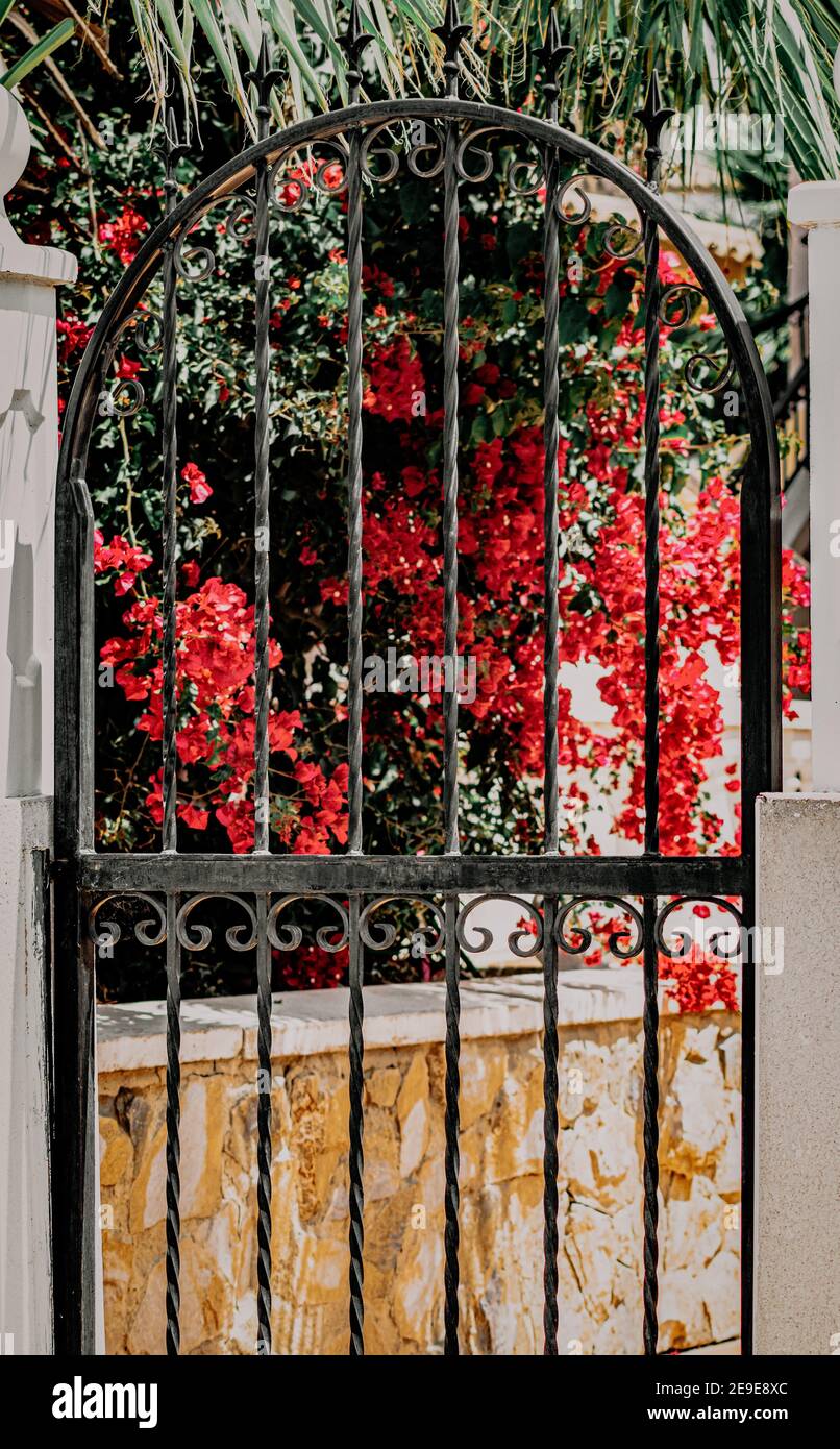 Vertical shot of a plant with red blooming flowers behind a metal ...