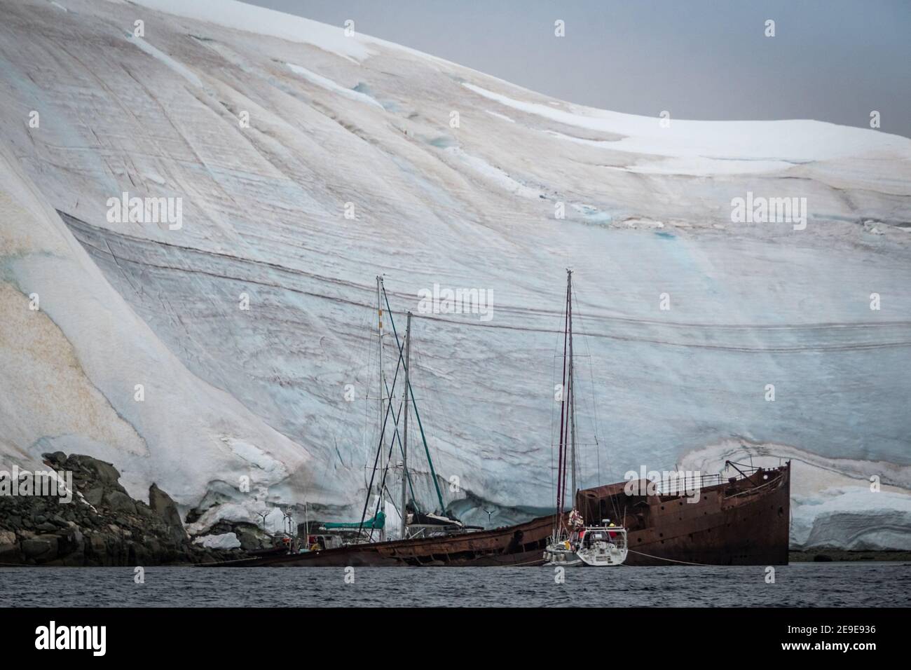 Governoren shipwreck, Foyn Harbour, Antarctica Stock Photo - Alamy