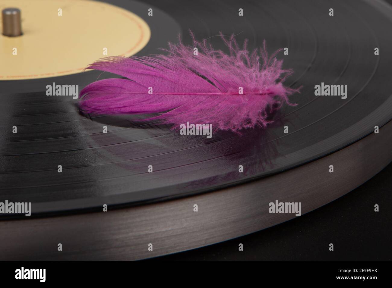 Purple disk hi-res stock photography and images - Alamy
