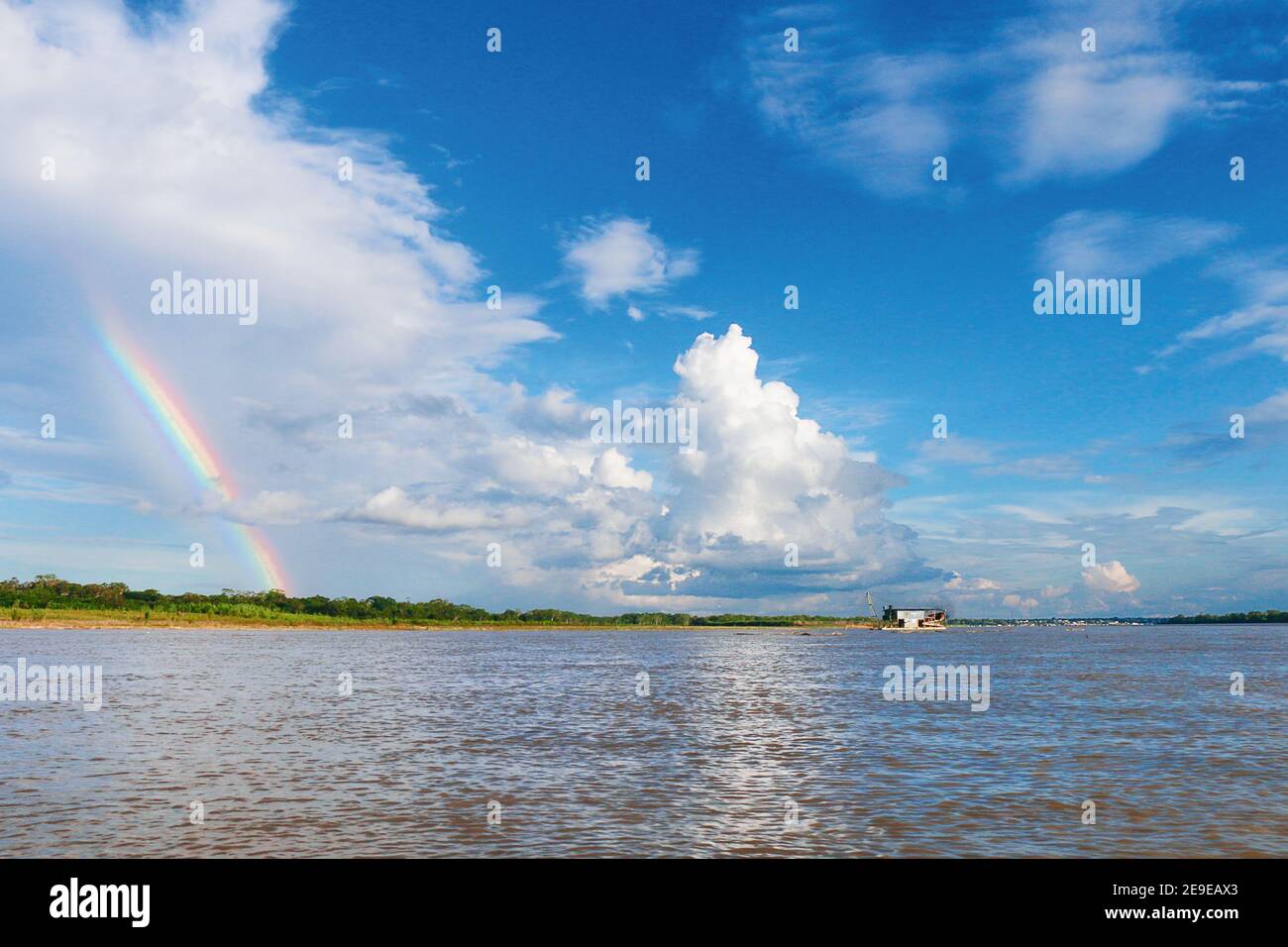 Amazon swamp hi-res stock photography and images - Alamy