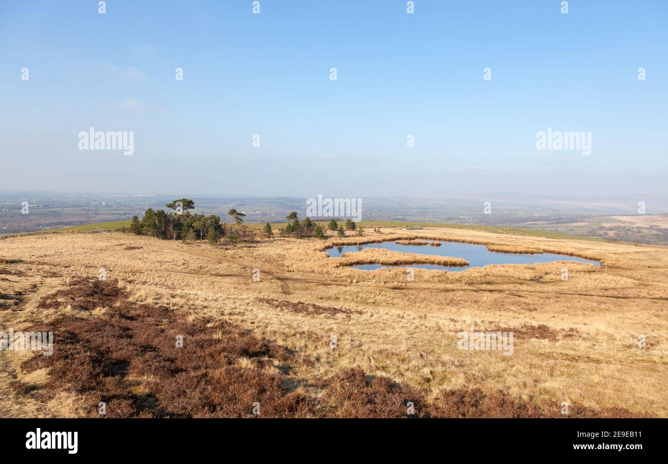 Nicky nook hi-res stock photography and images - Alamy