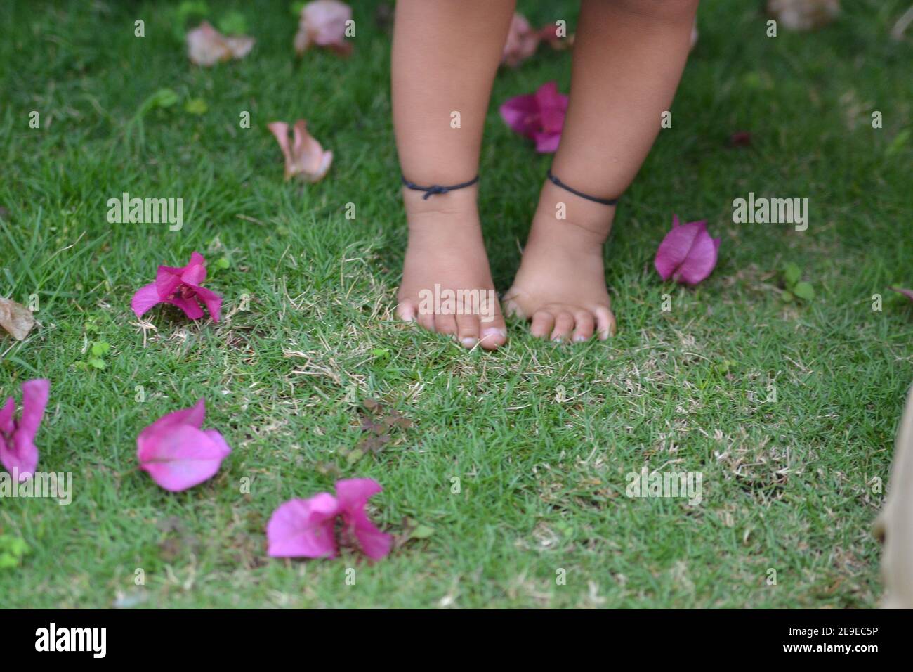 Closeup of a kid's barefoot legs on the grass with flower petals on the ...