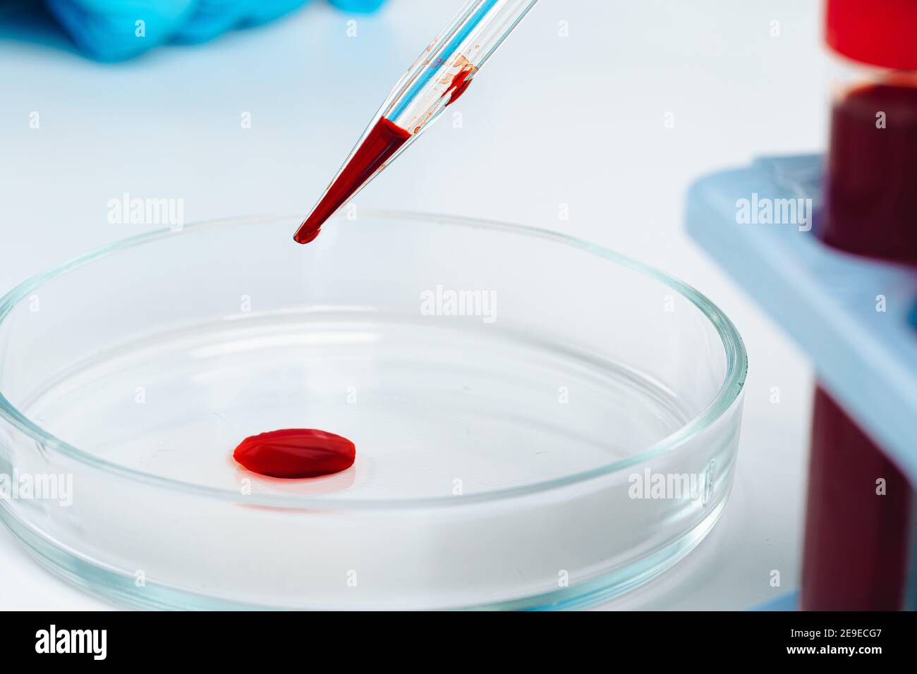 Glass dropper and Petri dish on laboratory table Stock Photo - Alamy