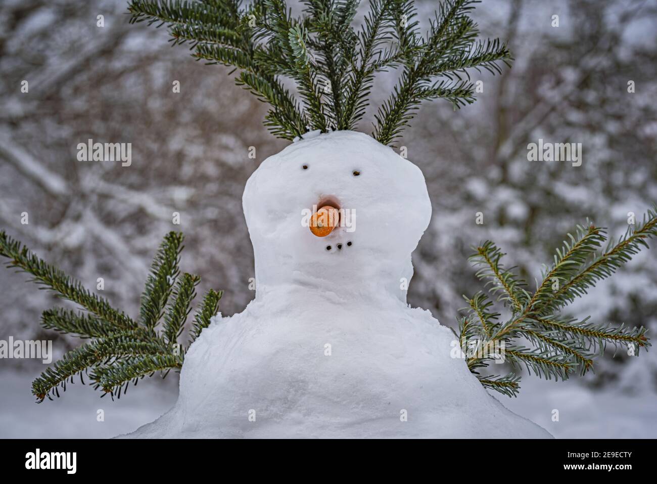 Snowman in winter with a carrot Stock Photo - Alamy