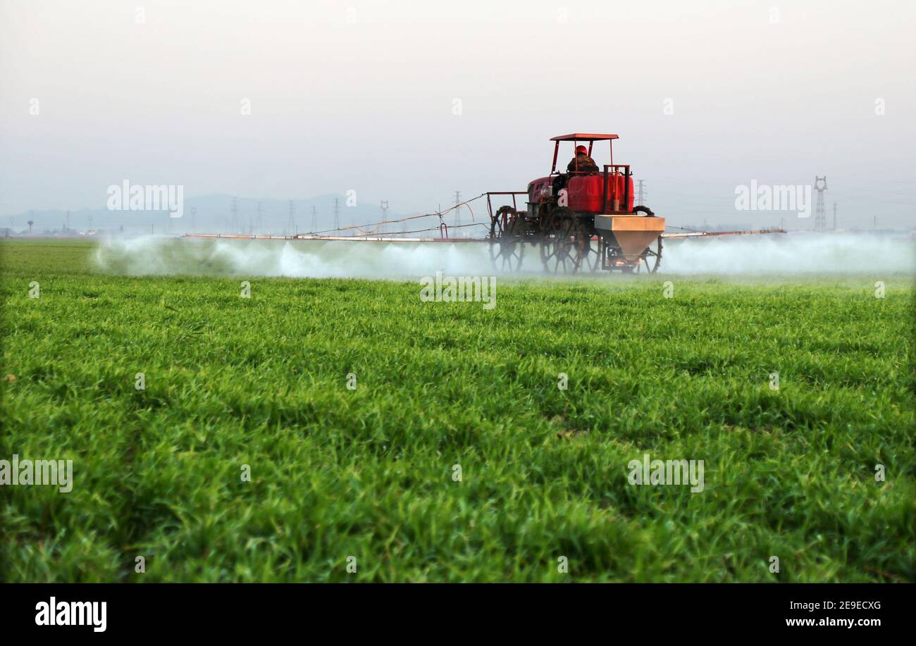 The farmers are planting wheat with large-scale mechanical equipment in ...
