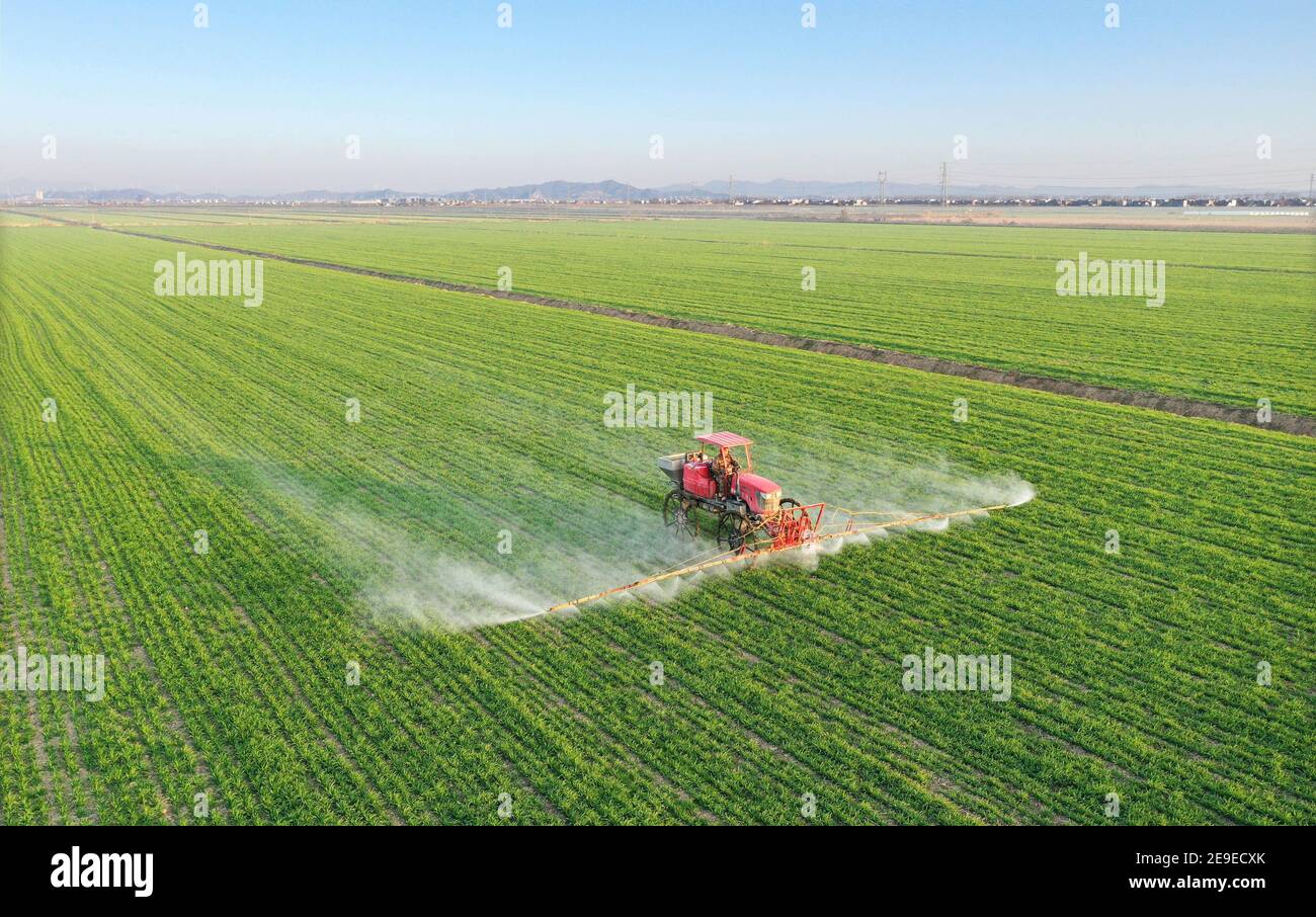 The farmers are planting wheat with large-scale mechanical equipment in ...