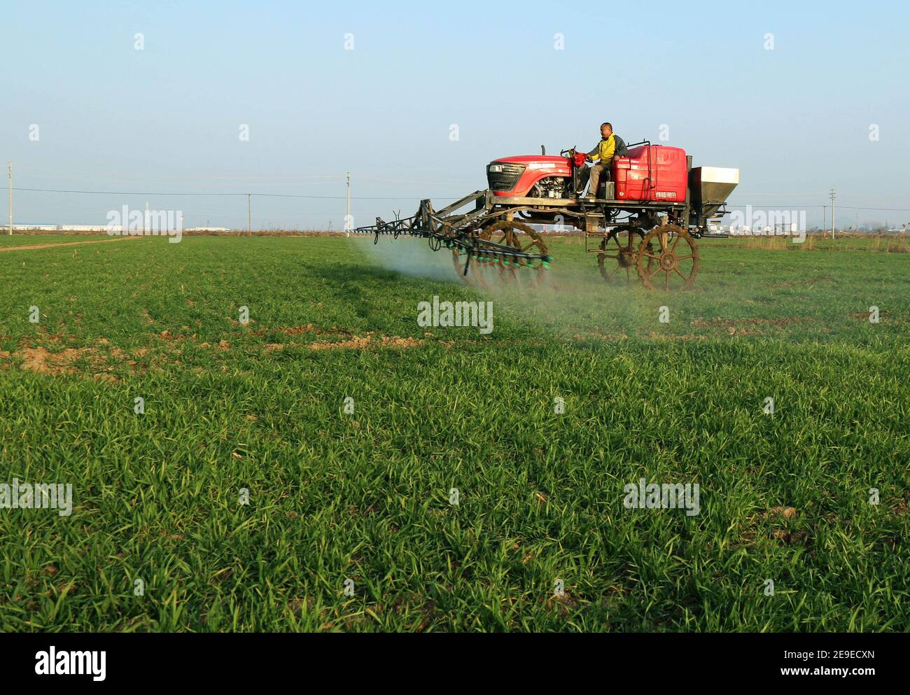 The farmers are planting wheat with large-scale mechanical equipment in ...