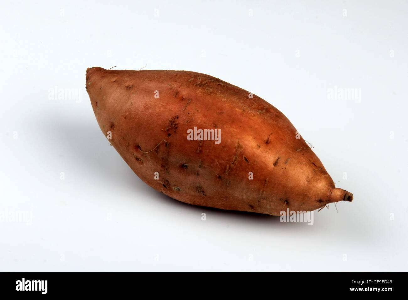 Sweet potatoes, batata isolated on white background. Ipomoea batatas ...