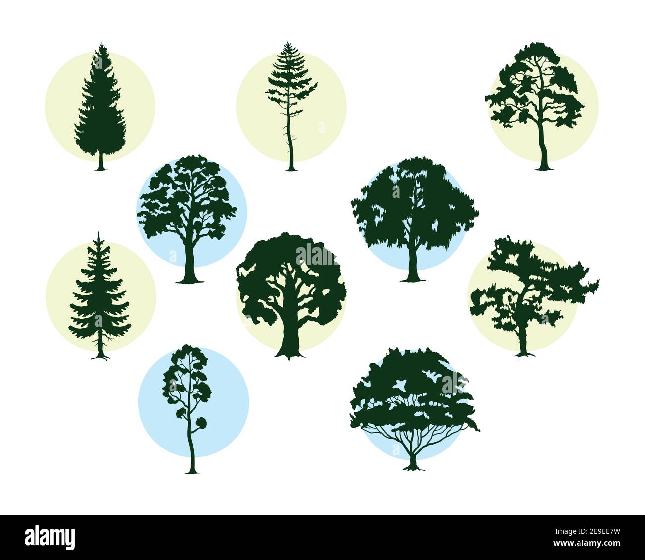 bunsle of ten trees plants forest silhouettes icons vector illustration ...