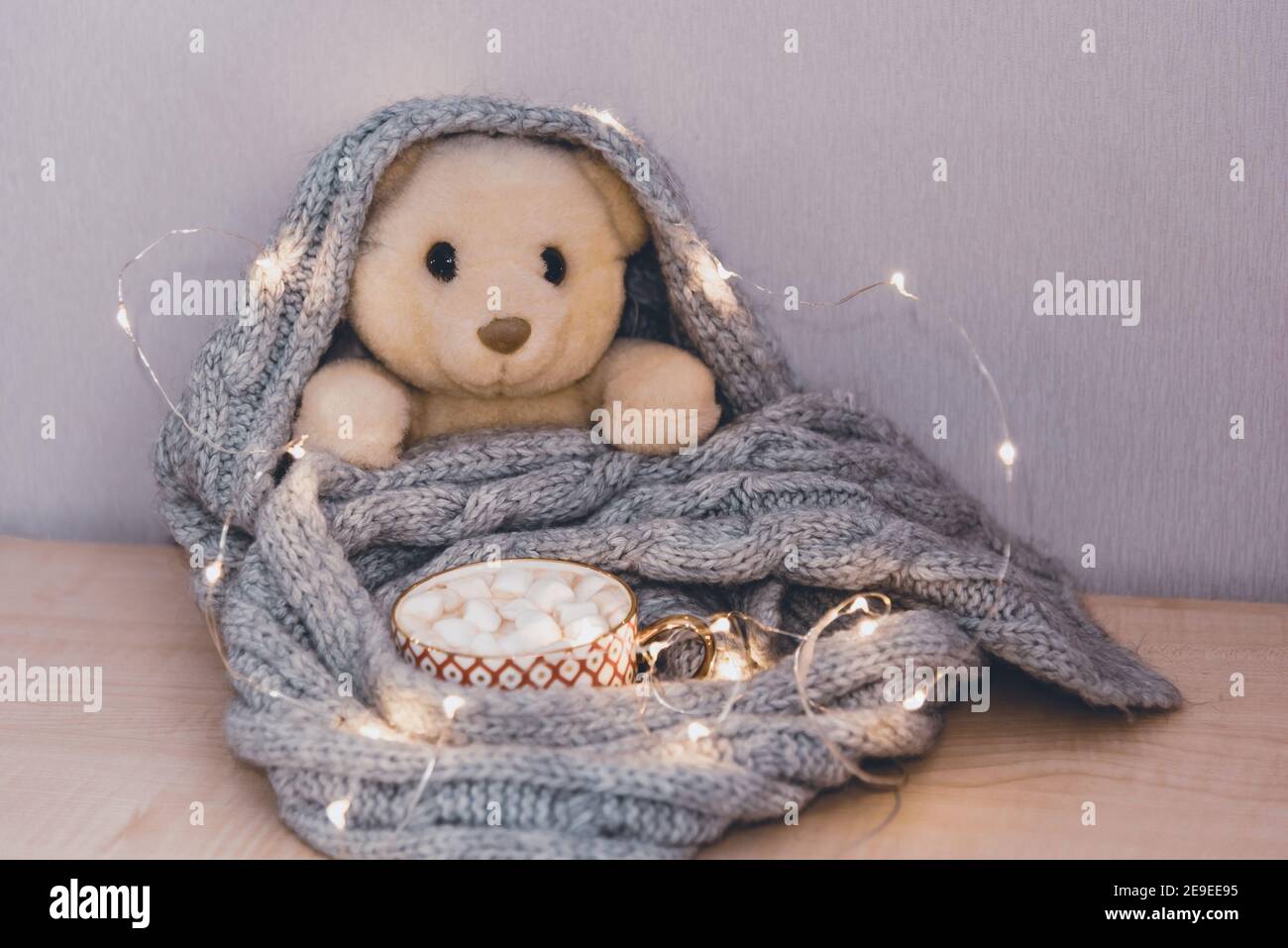 Hot teddy hi-res stock photography and images - Alamy
