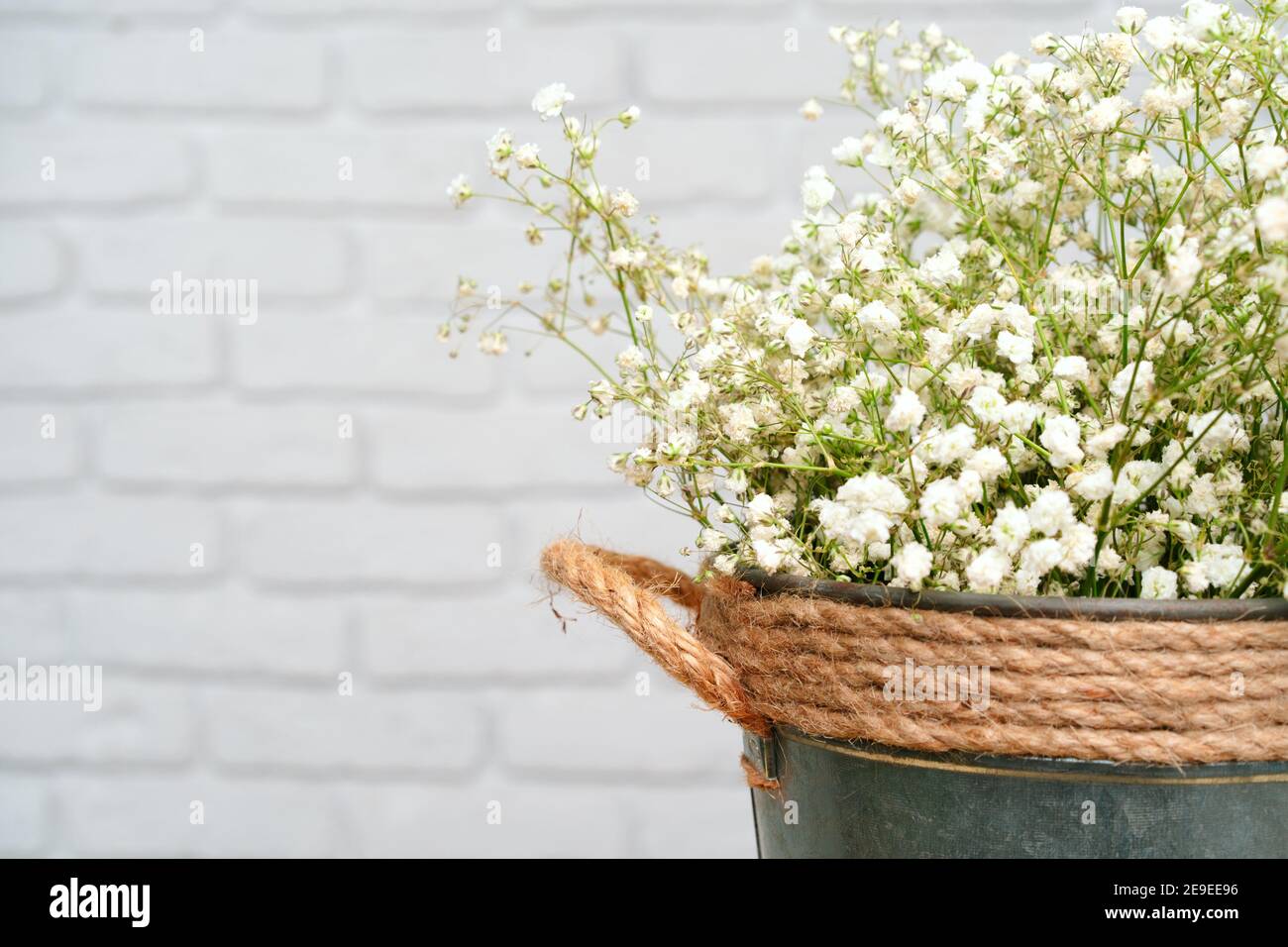 Bouquet of white gypsophila, baby's breath flowers close up Stock Photo ...