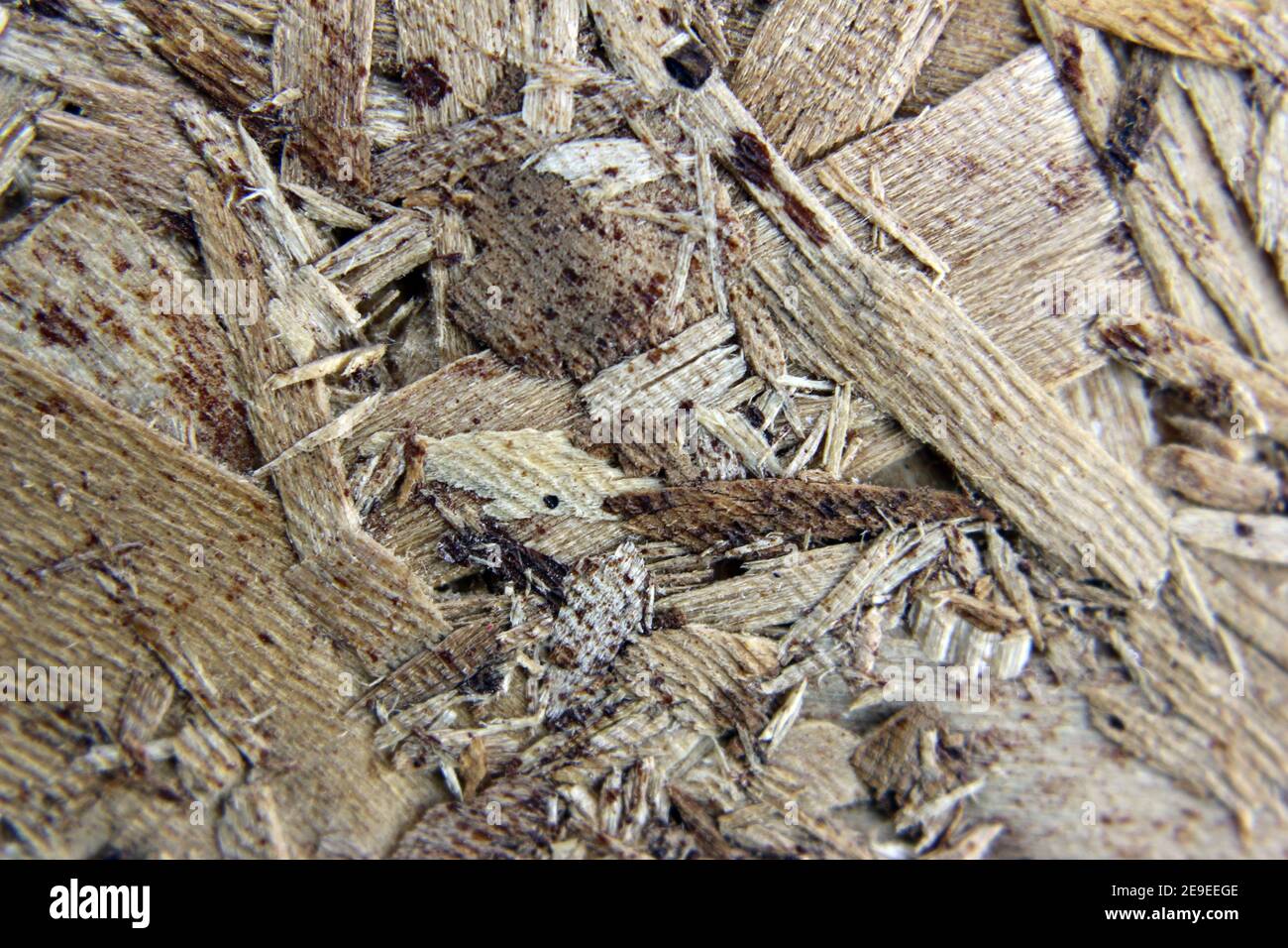 Compressed wood hi-res stock photography and images - Alamy