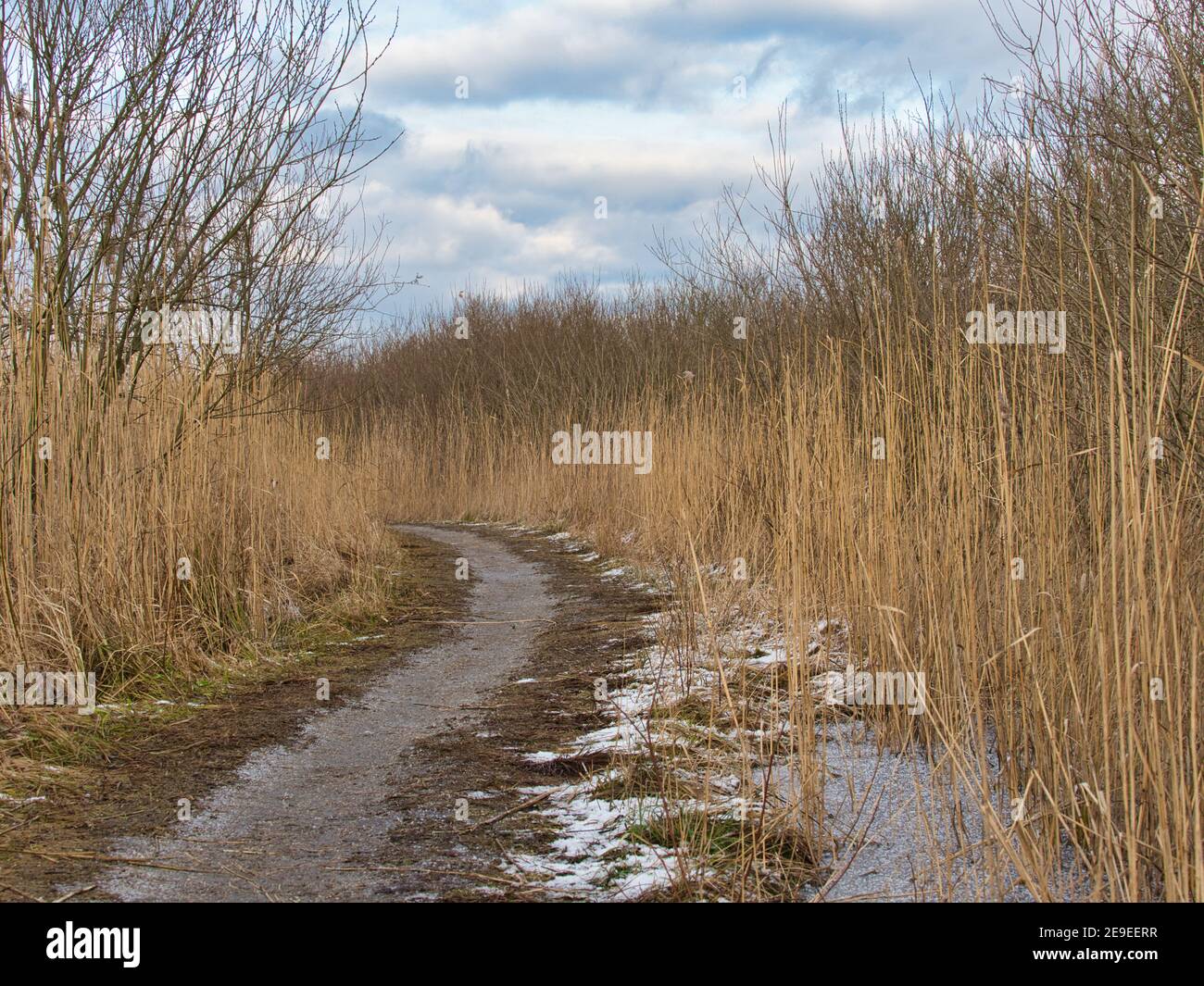 Wet road in a dry field Stock Photo - Alamy