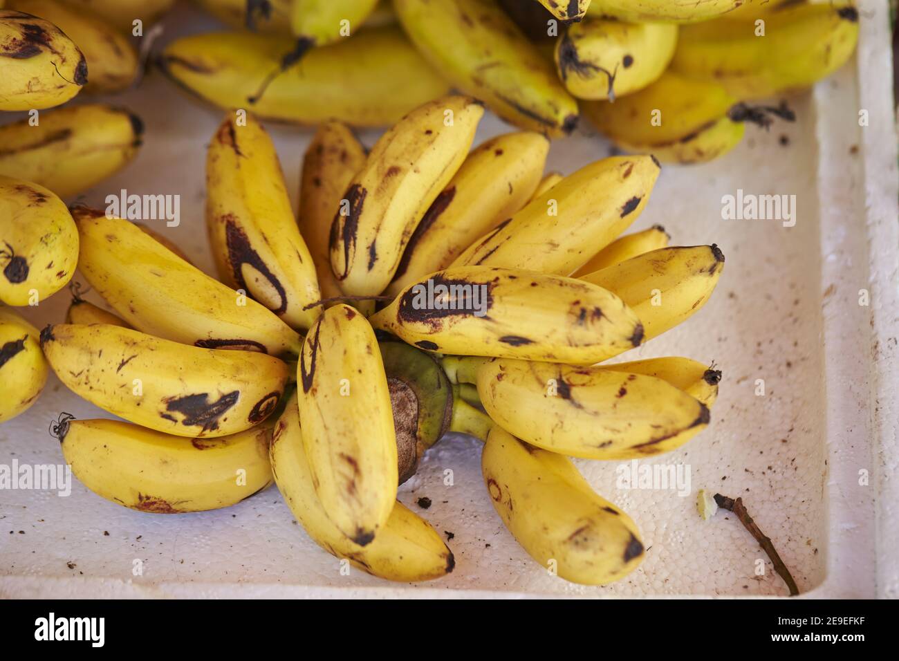 Closeup shot of ripe mini bananas in a maarket Stock Photo - Alamy