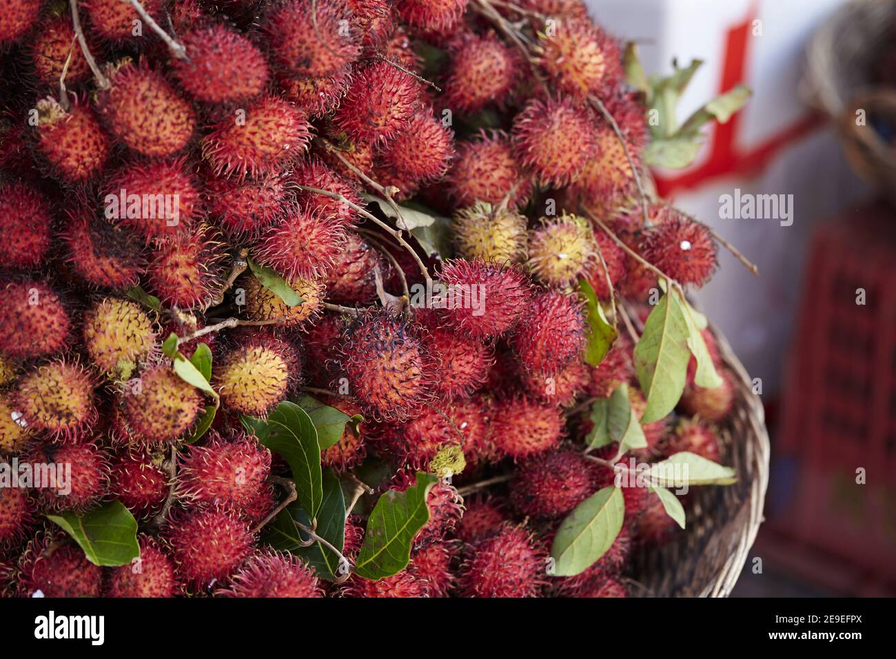 Closeup shot of rambutan in a food market Stock Photo - Alamy