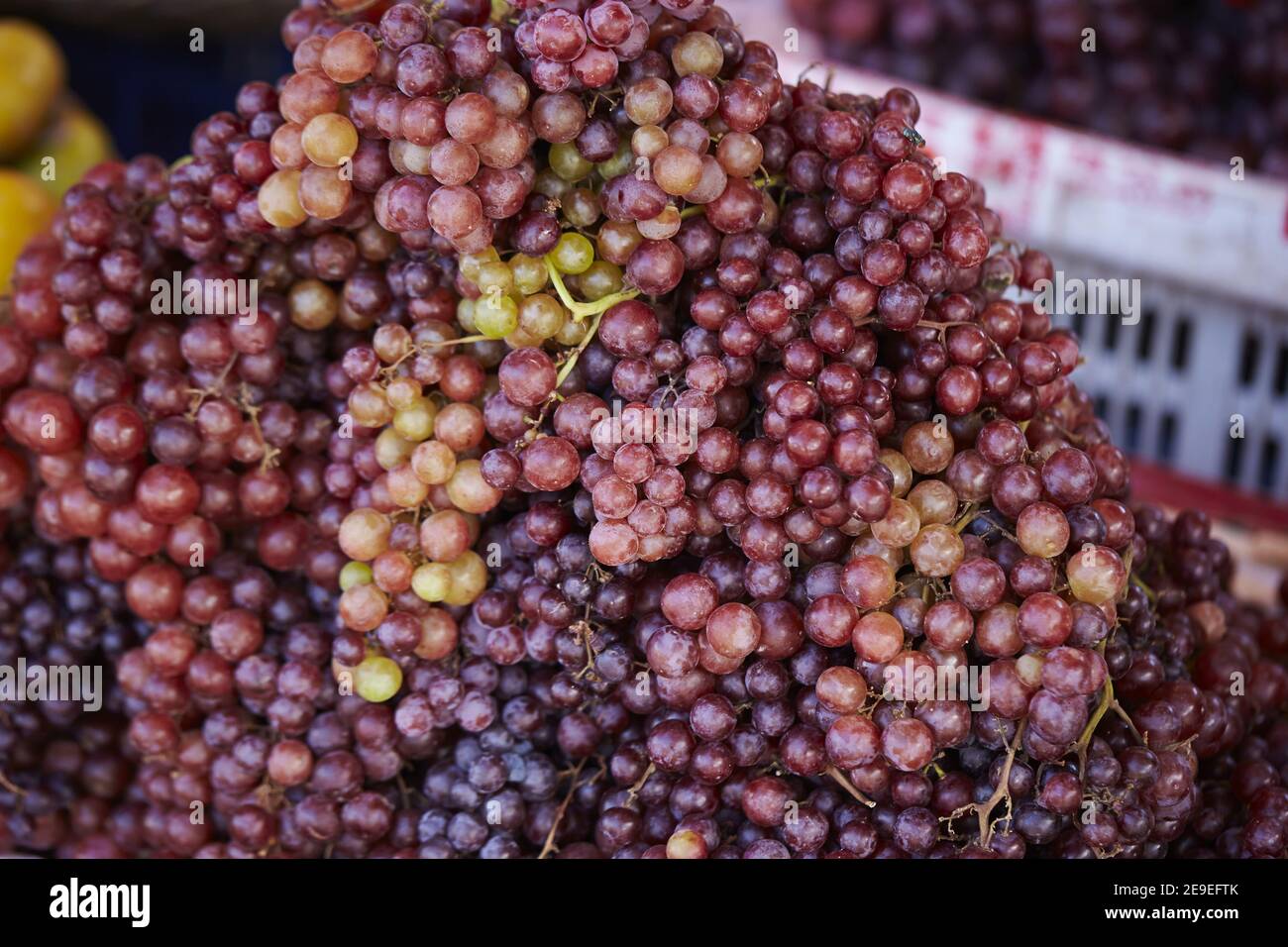 Selective focus shot of grape in a food market Stock Photo - Alamy