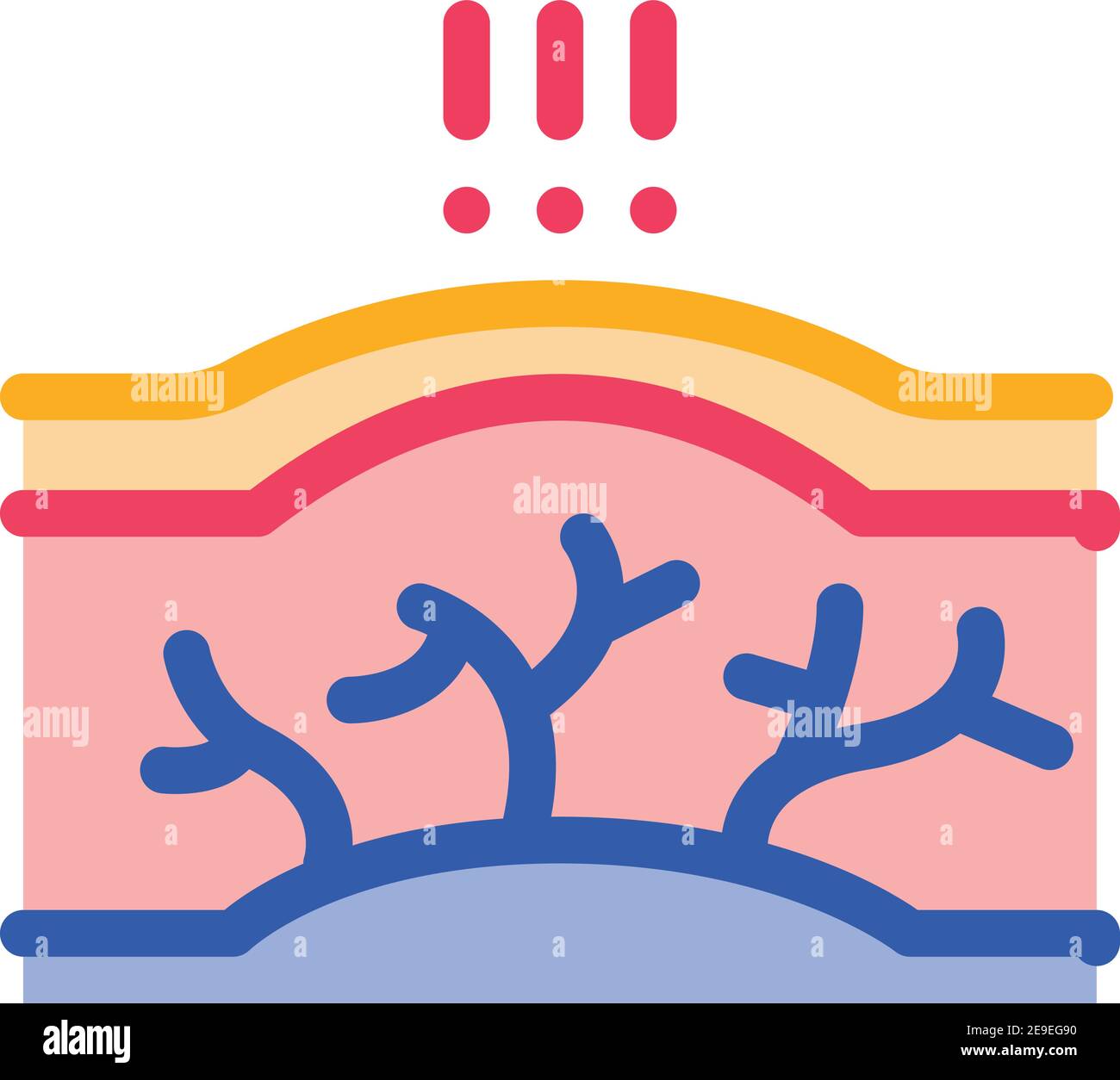 varicose veins disease color icon vector illustration Stock Vector ...