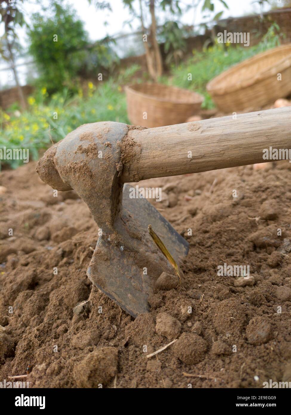 Adze tool hi-res stock photography and images - Alamy
