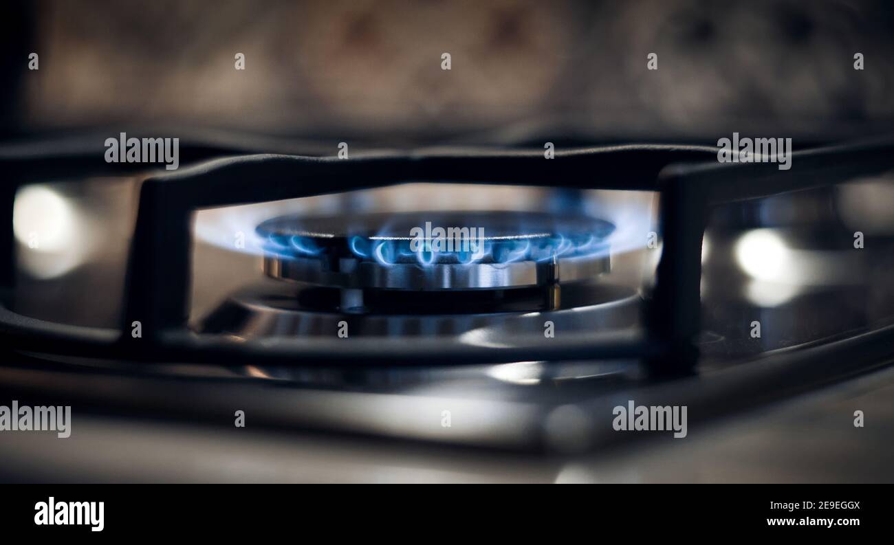 Kitchen modern gas cooker with burning fire propane gas. Gas stove ...