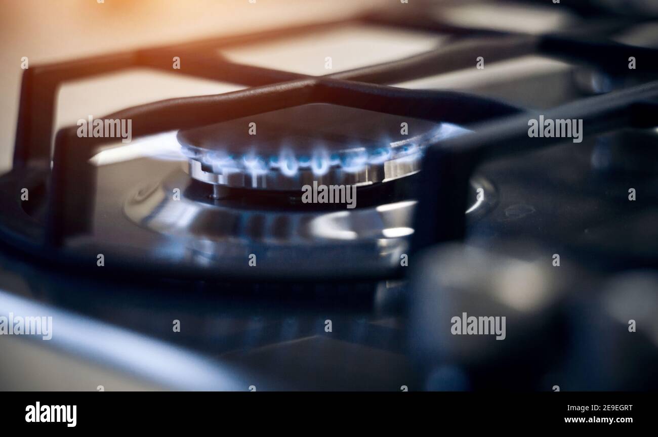 Kitchen modern gas cooker with burning fire propane gas. Gas stove ...