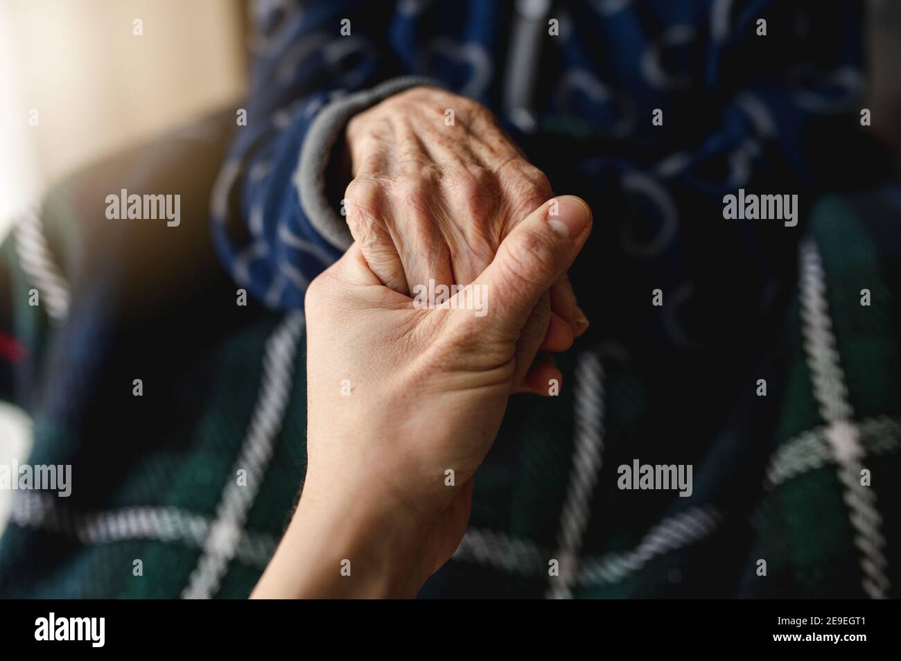 Female holding hand of an old woman - family care concept Stock Photo ...