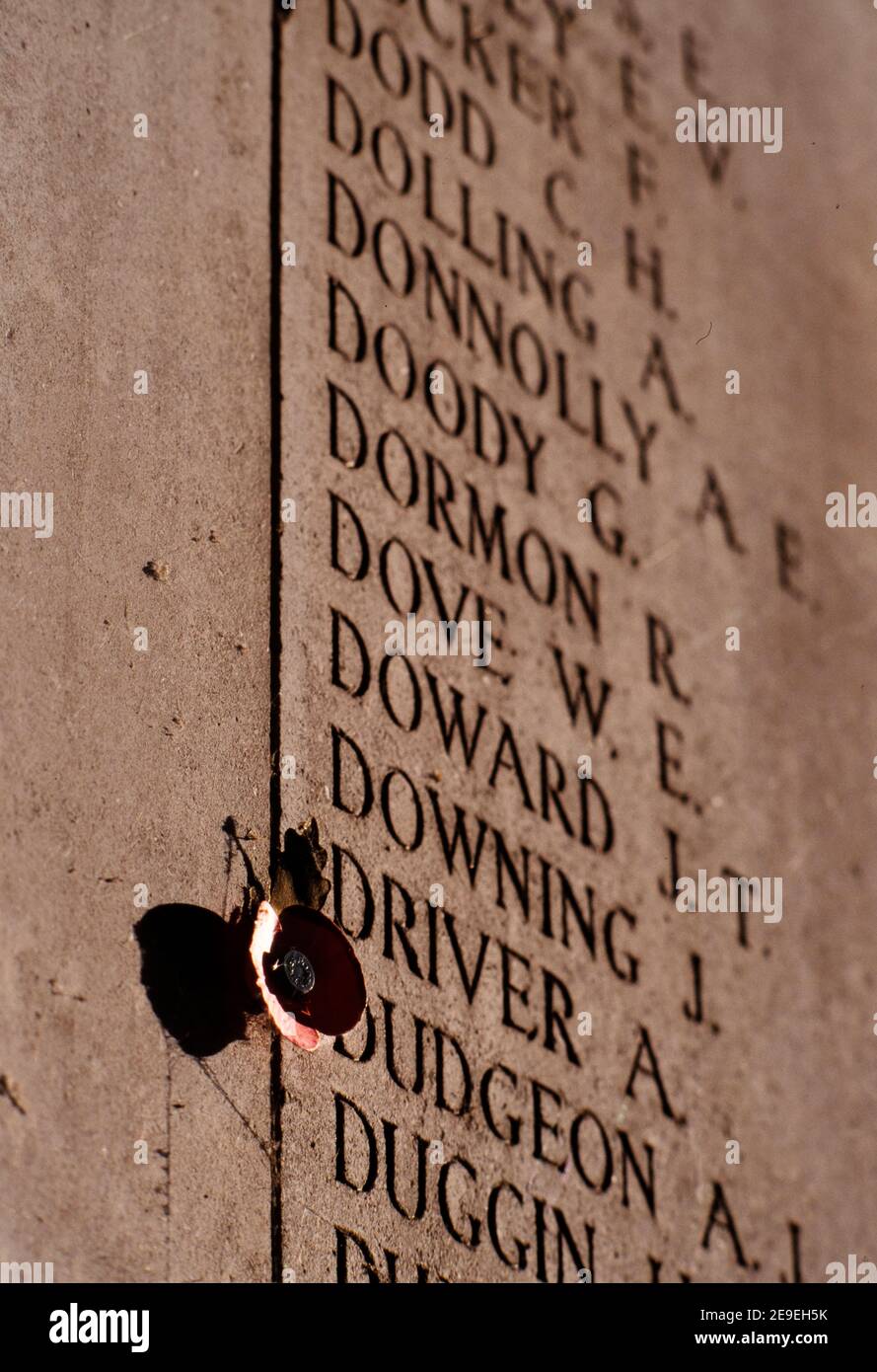 Dead bodies wwi hi-res stock photography and images - Alamy