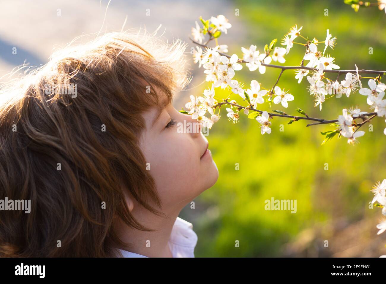 Spring kid with blooming tree. Cute child in blossom garden Stock Photo ...