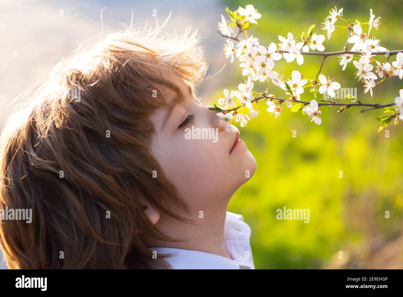 Happy childhood. Spring kid with blooming tree. Cute child in blossom ...